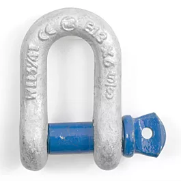 Screw pin D-Shackle - Standard | Metaltis